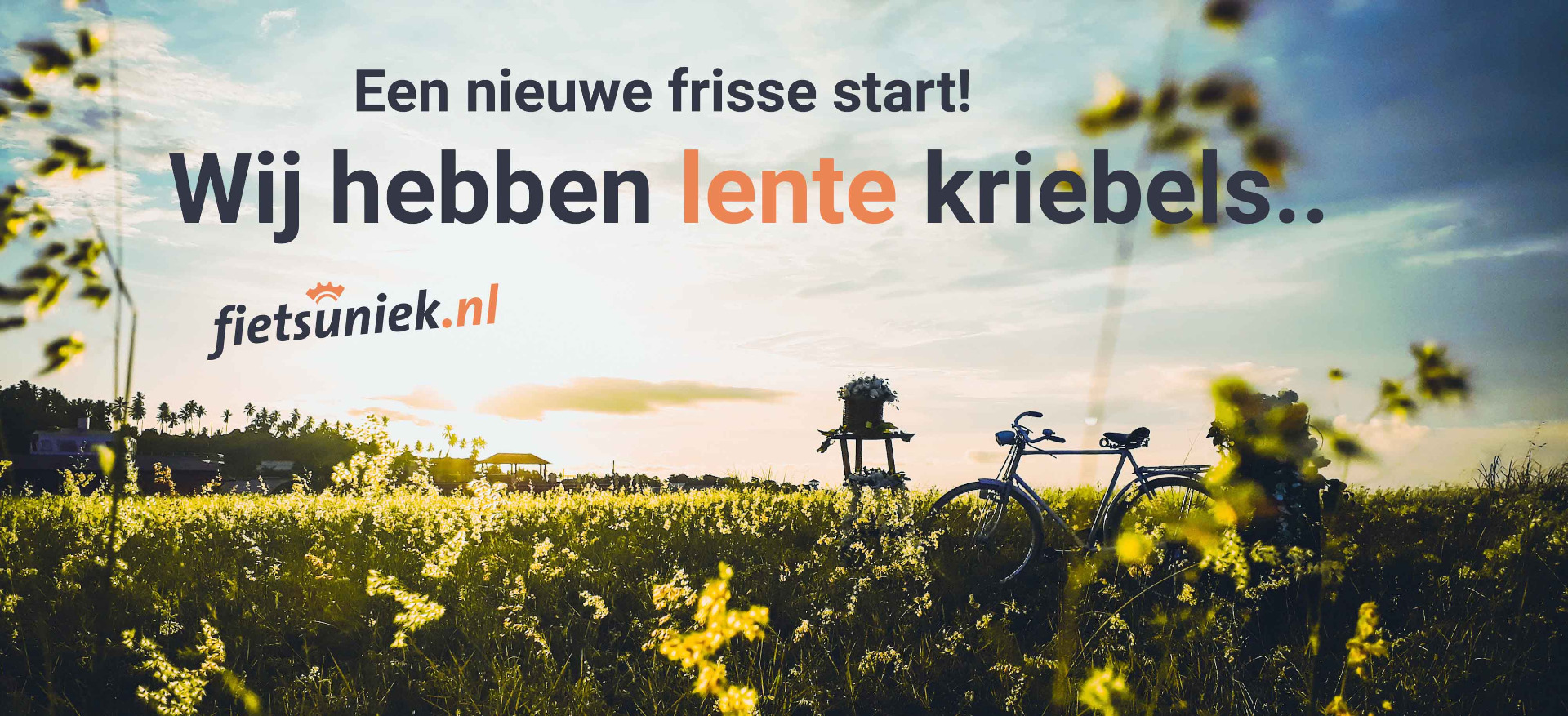 Fiets kopen? De online fietsenwinkel van Nederland!